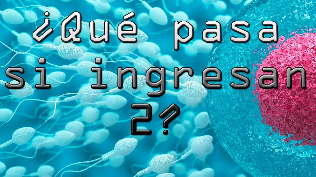 ⏱️ ¿Por qué eyaculamos millones de espermatozoides? - YouTube