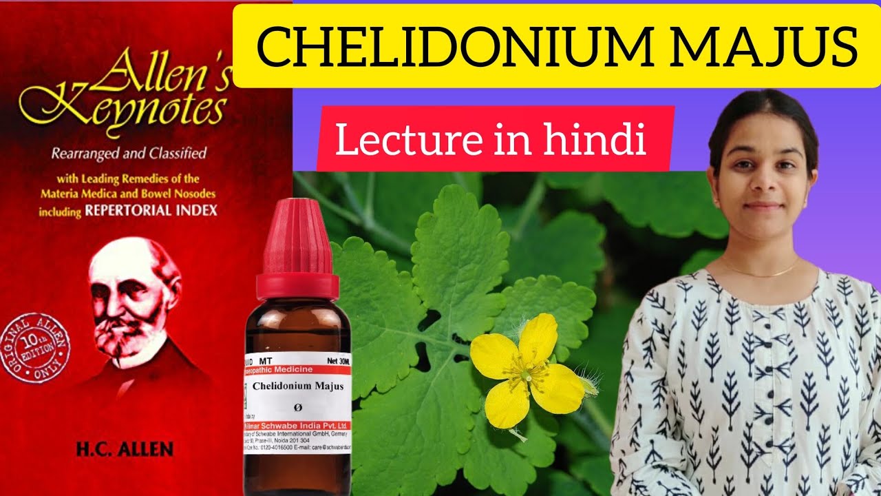 Chelidonium majus homeopathic medicine ||Allen's keynotes materia ...