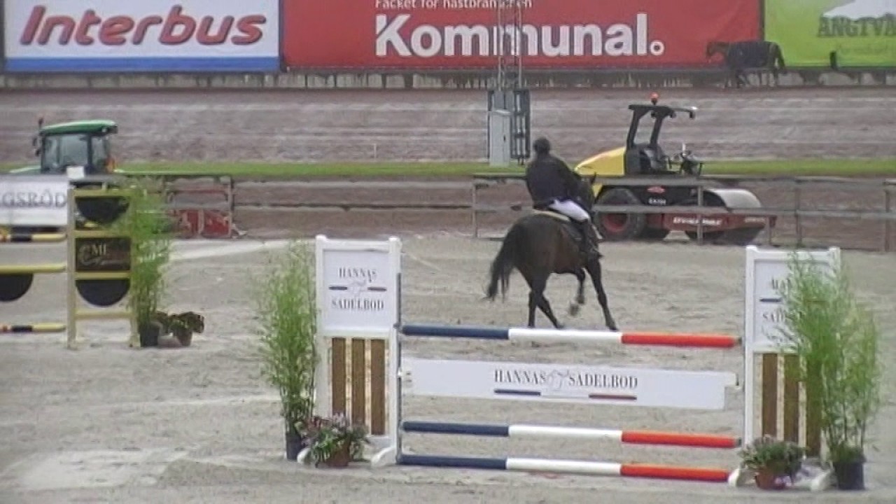 Fatta KJ Approved Stallion -10 Feliciano-Cardento-Athlet - YouTube