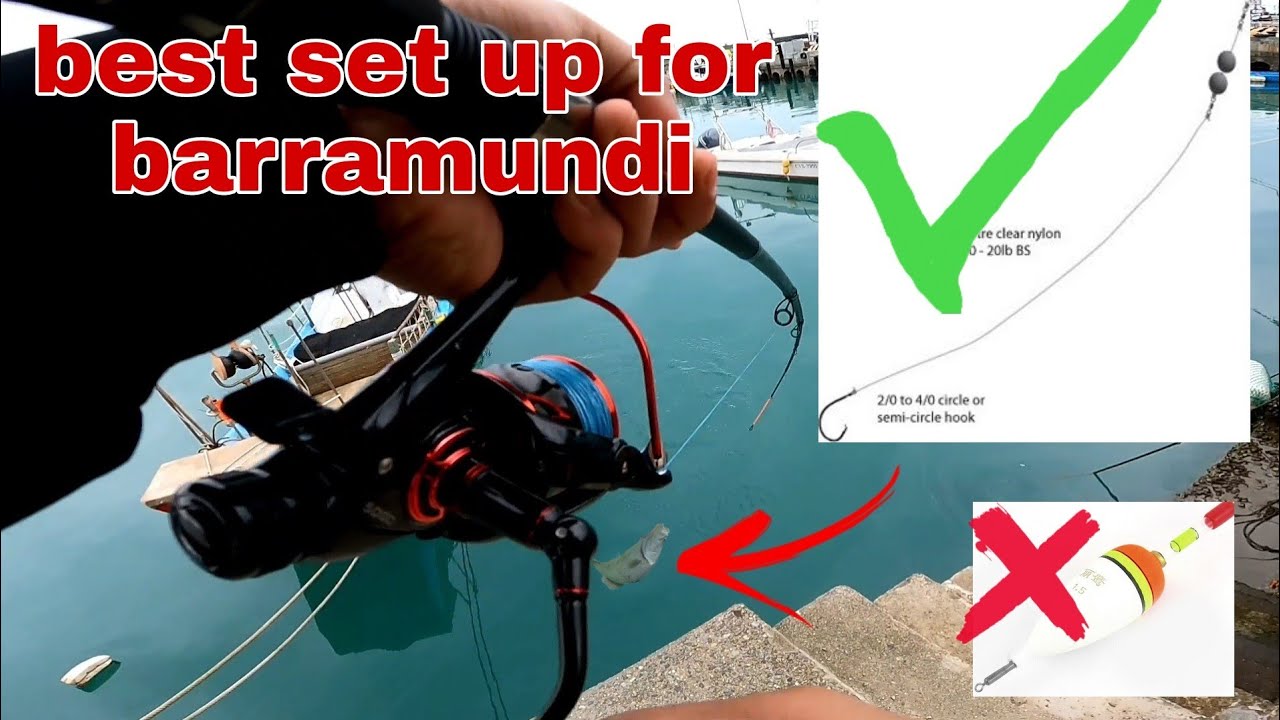 Best rig for BARRAMUNDI/APAHAP(live bait shrimp) - YouTube