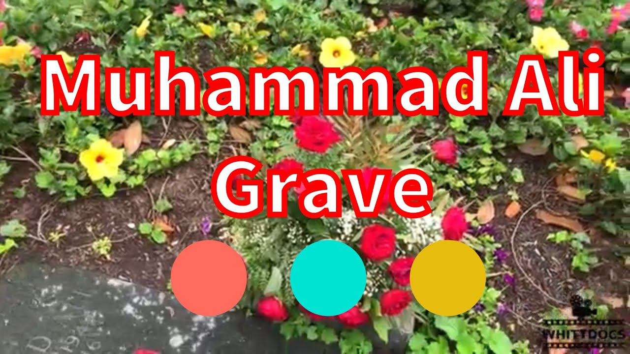 Famous Graves Muhammad Ali grave Louisville Kentucky Cemetery Gravesite ...