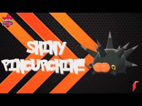 (LIVE) My Own SHINY PINCURCHIN after 298 EGGS in Pokémon Shield!! - YouTube