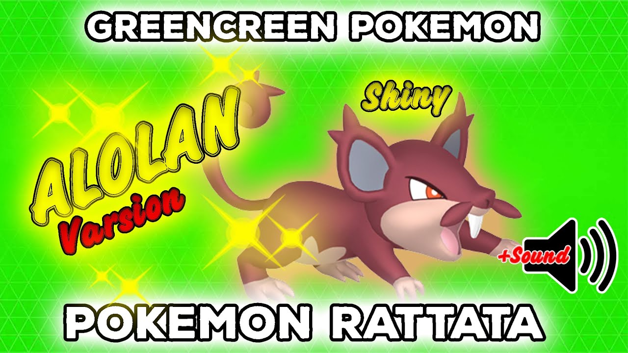 Pokemon Rattata Alolan Shiny | GreenScreen | Pokémon GO | 👍POGOTUBE ...