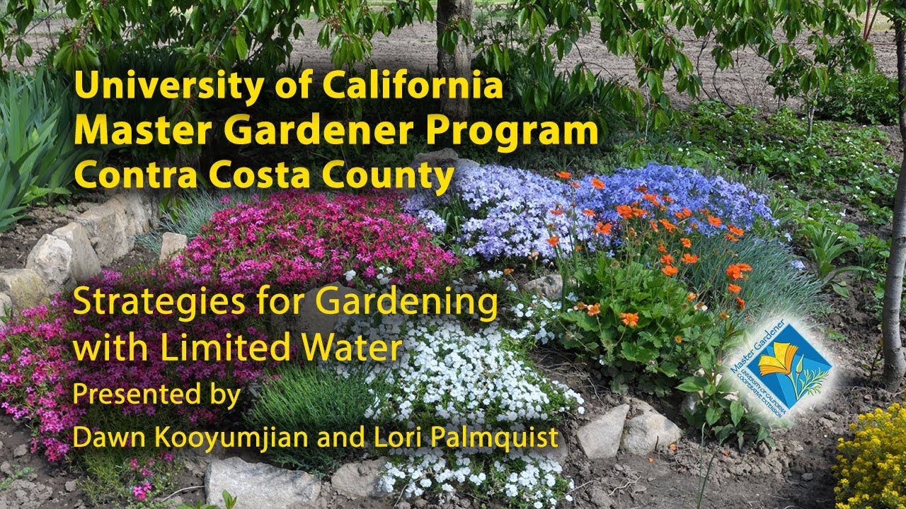 Strategies for Gardening with Limited Water: Weathering Drought in ...