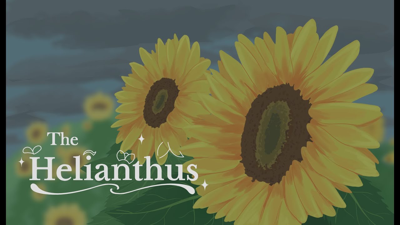 The Helianthus | Original Animation 2022 - YouTube