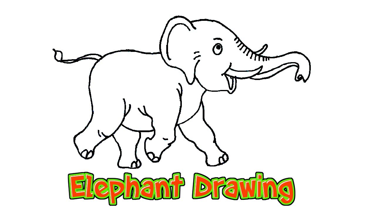How to draw Elephant step by step | Elephant drawing photos - YouTube