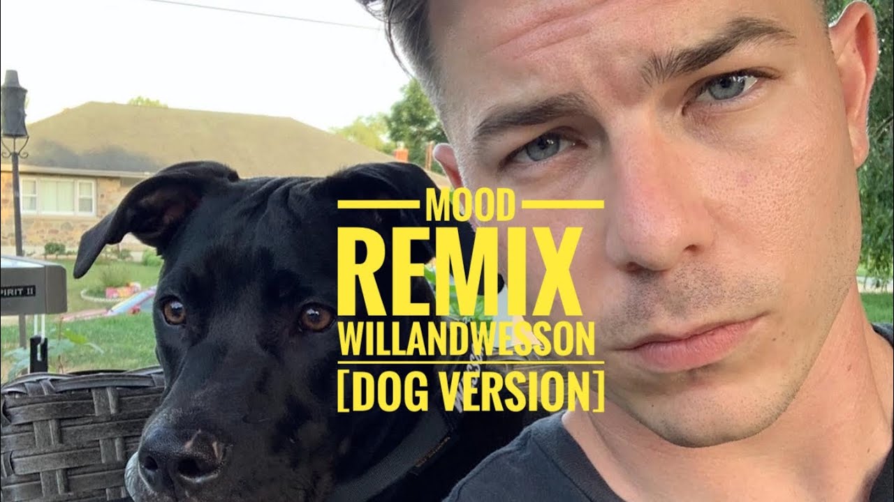 MOOD Remix [Dog Version] - YouTube