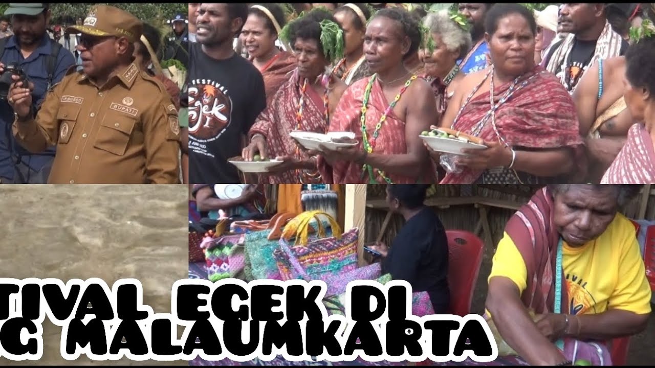 FESTIVAL EGEK BUDAYA ADAT ISTIADAT TANAH MALAOI DAN PELEPASAN 🐢🐢🐢 # ...