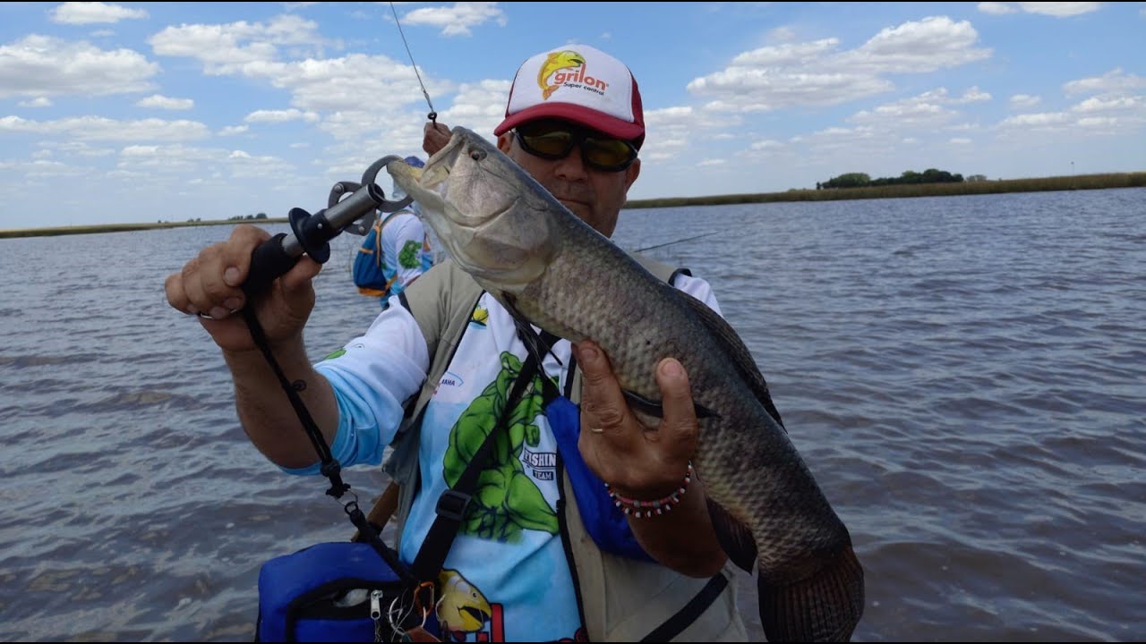 Tremenda pesca de taruchas en Gral. Arenales! - YouTube