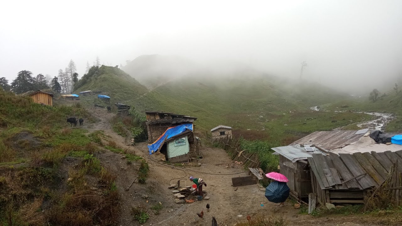 Himalayan Lifestyle Nepal🇳🇵 | working village life nepal🇳🇵 | Life In ...