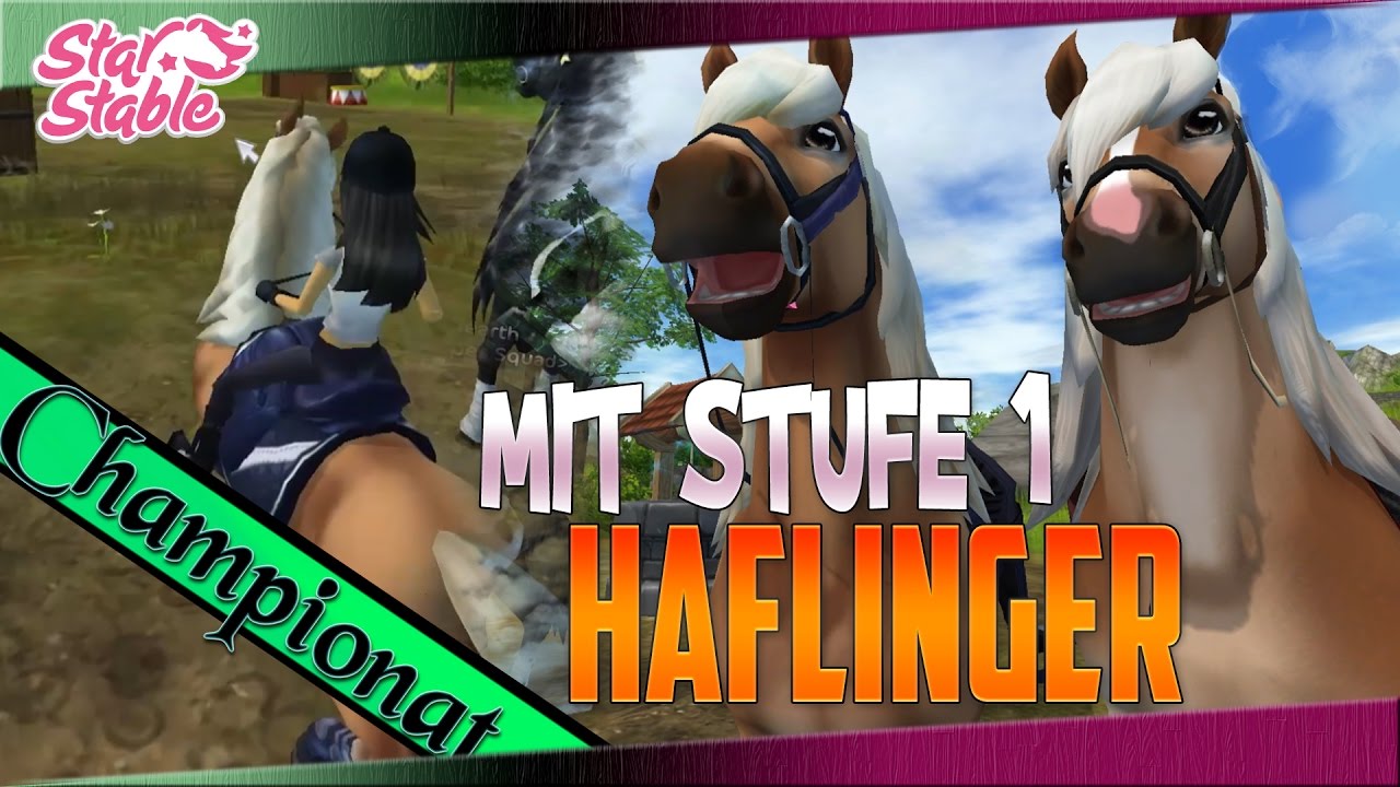 Star Stable Championat | Stufe 1 Haflinger im Test 😮 Moorland | SSO ...