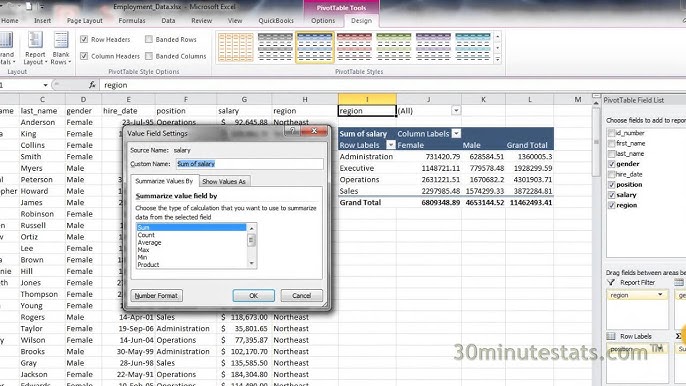 Pivot Tables Excel 2010 | Cabinets Matttroy