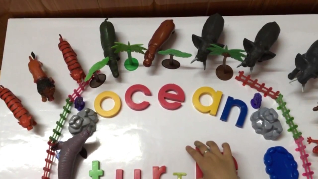 animal world and children | baby learn animal world - YouTube