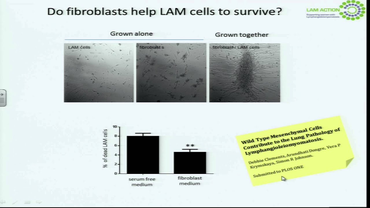Modelling LAM in the Lab - YouTube