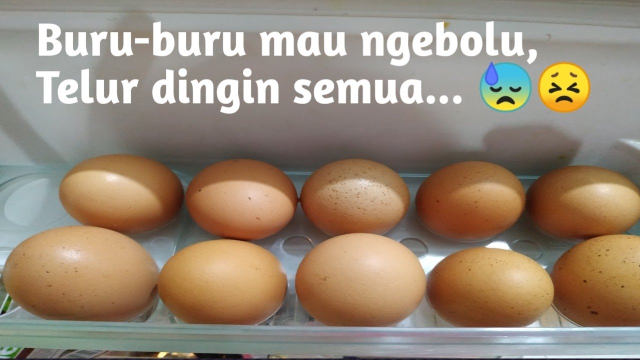Cara CEPAT menaikan Suhu Telur Yang Dingin menjadi Suhu Ruang - YouTube