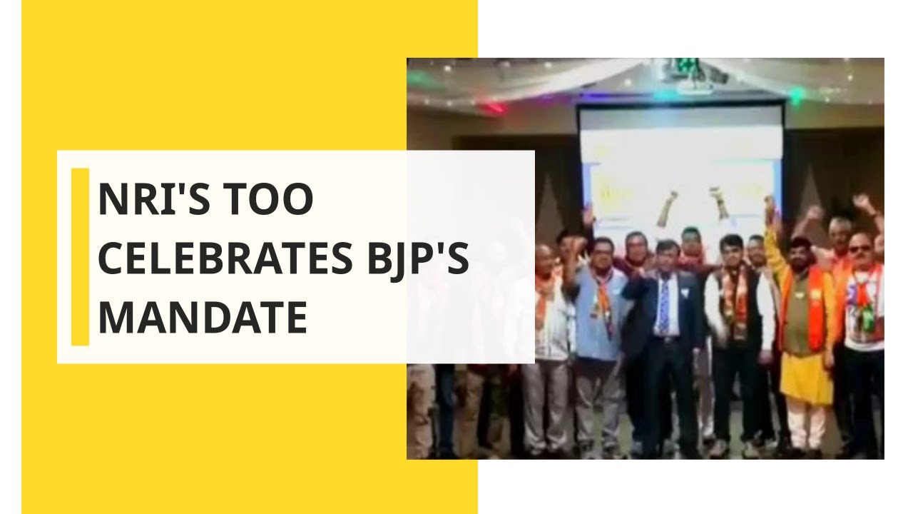 Lok Sabha Election 2019: NRI's celebrates India's political mood - YouTube