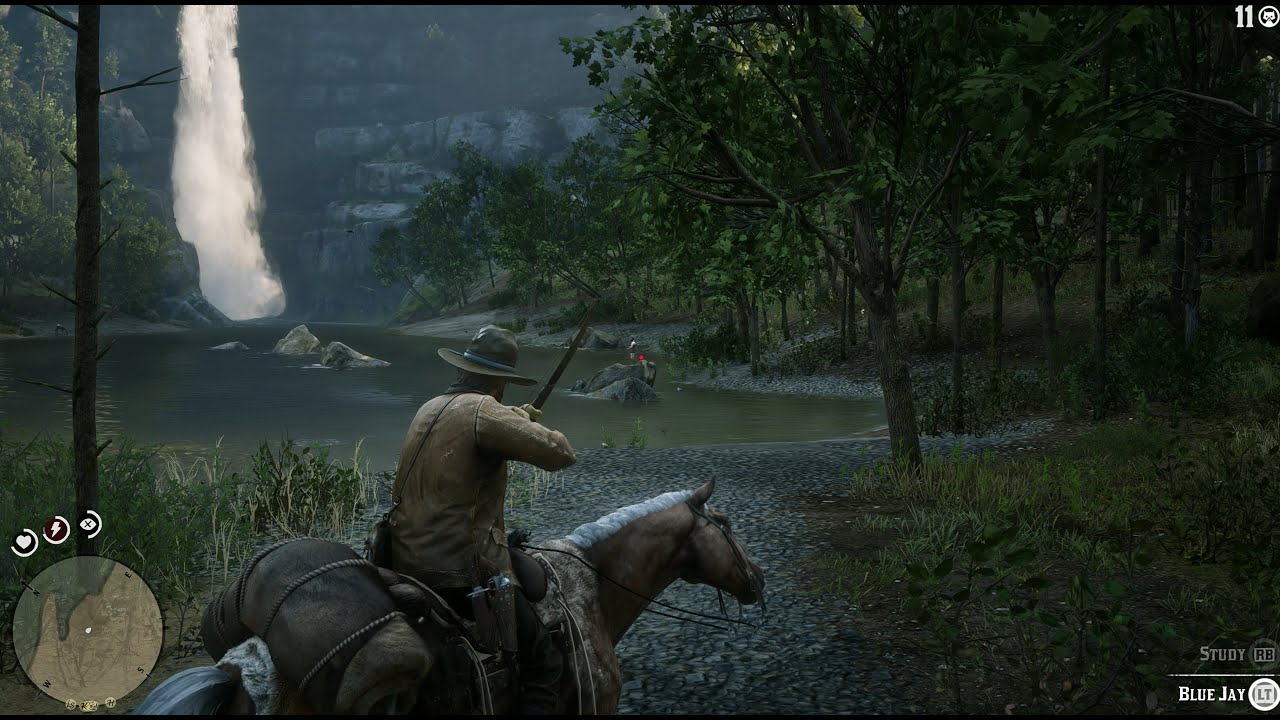 Red Dead Redemption 2, 4K. Small Birds: Woodpecker, Sparrow, Blue Jay ...