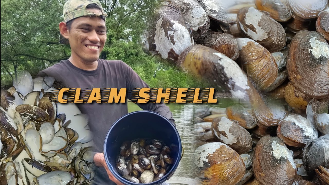 HUNTING CLAMSHELL/ Hindi Namin akalain na marami pang clam sa bakawan ...
