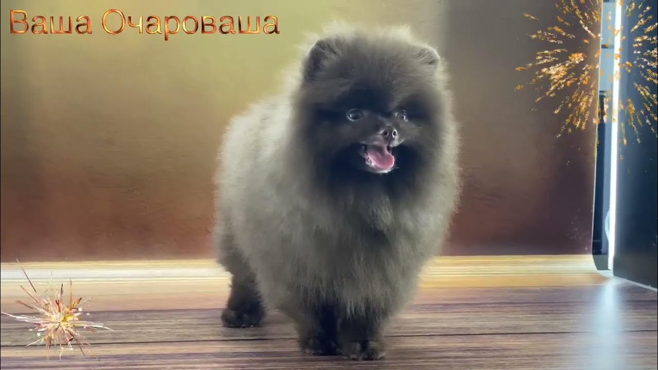 От Эстер - YouTube
