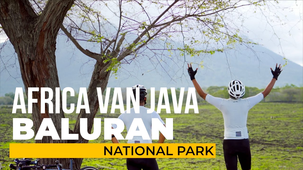 Taman Nasional Baluran | Pesona alam liar Afrika di Indonesia | Dicegat ...