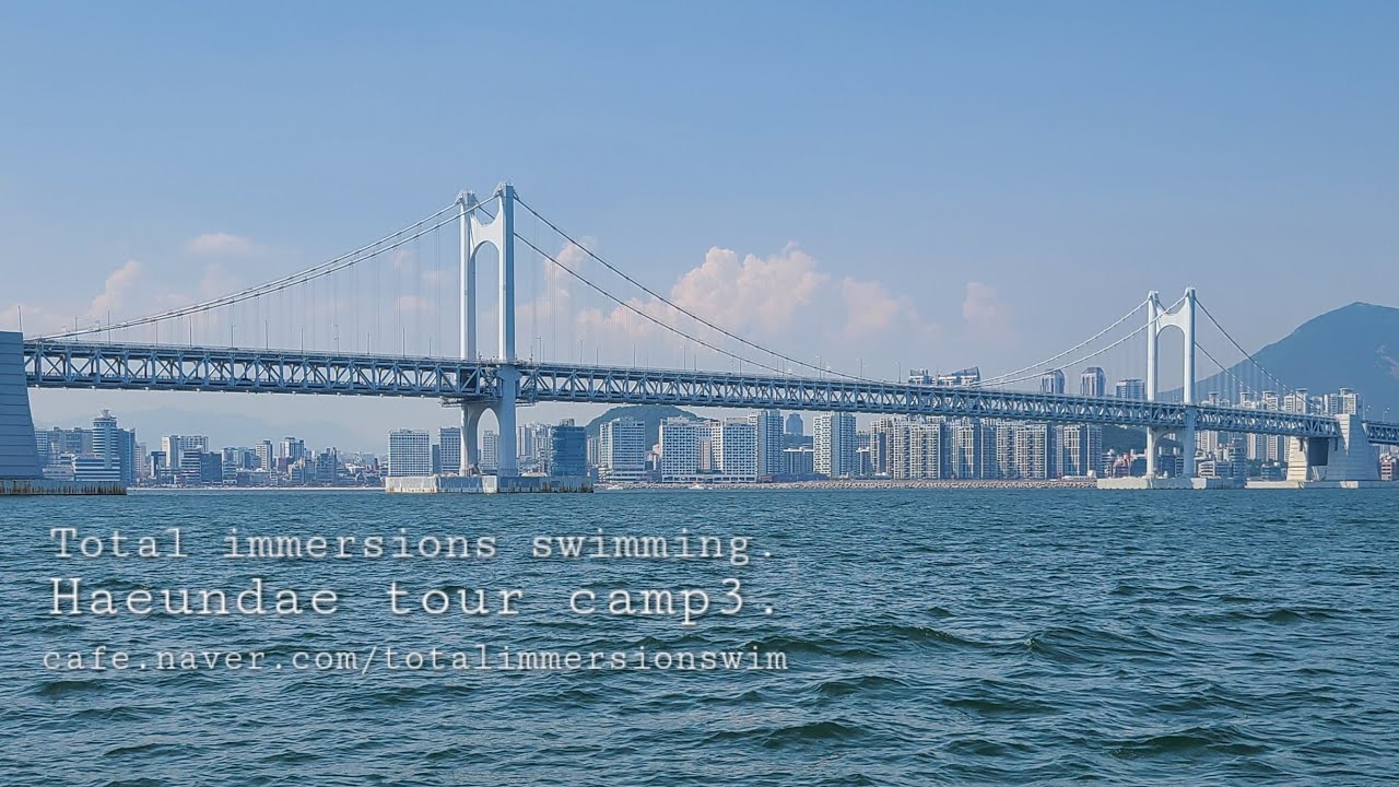 Total immersion swimming Haeudae tour camp3.615 - YouTube