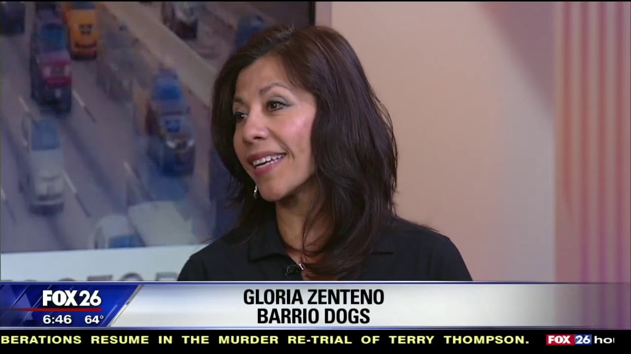 Houston PetSet, Barrio Dogs and How I Met My Dog on FOX26 - 11.5.18 ...