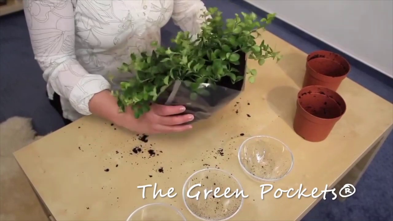The Best solution for small space with The Green Pockets® - YouTube
