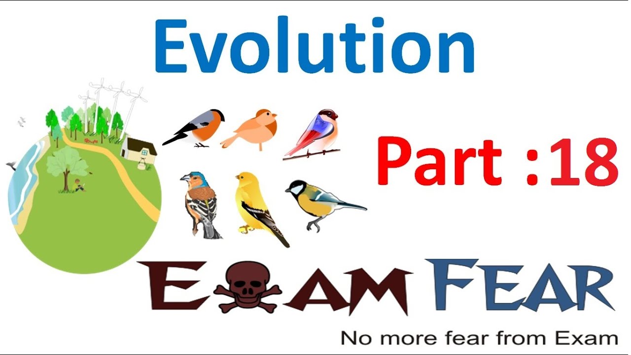 Biology Evolution part 18 (Evolution of Man) class 12 XII - YouTube