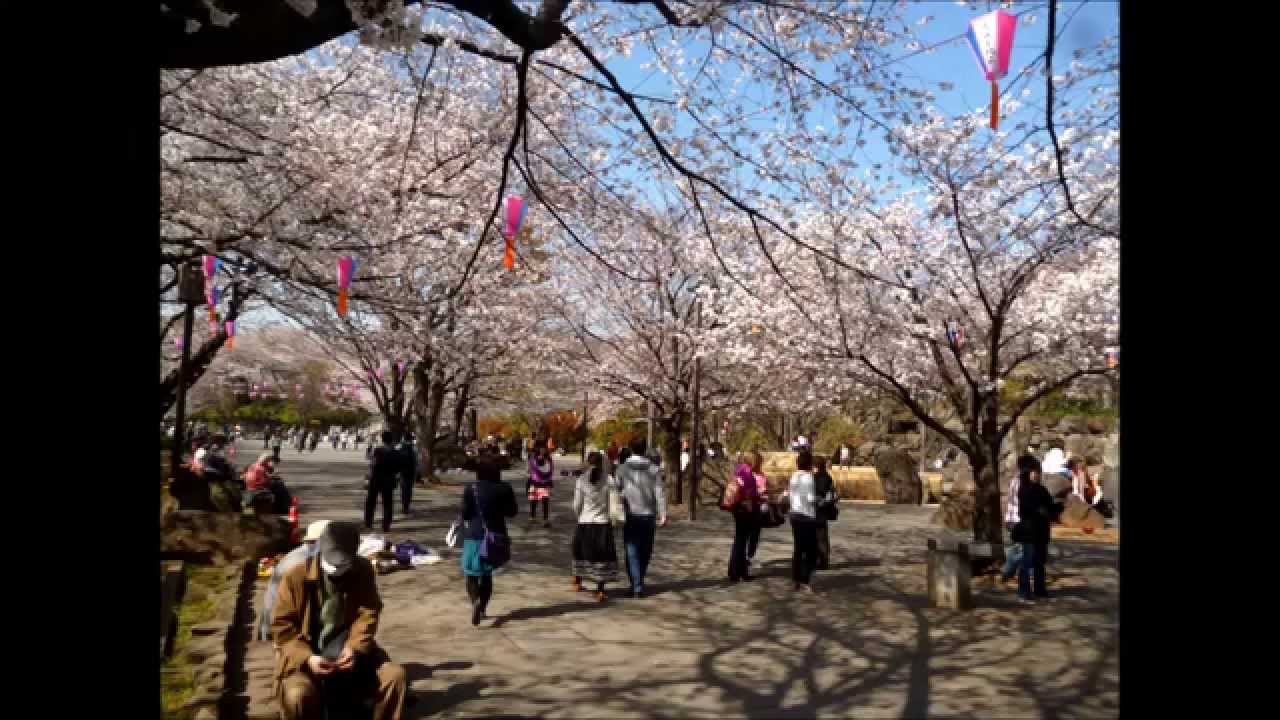 悲しくてやりきれない Japanese soul in song 1968 Kanashi-kute Yari-kire-nai - YouTube