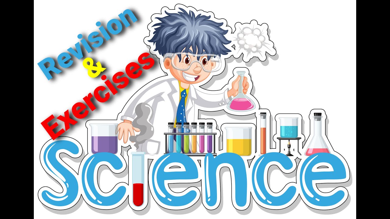 Study science/ grade 4/second term 2022/Exercises and Revision ...