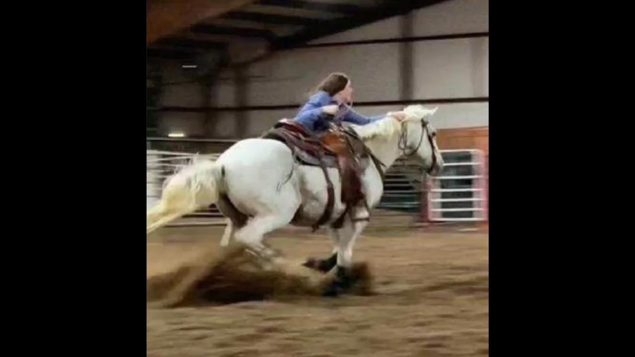 Judge S Blackburn - YouTube