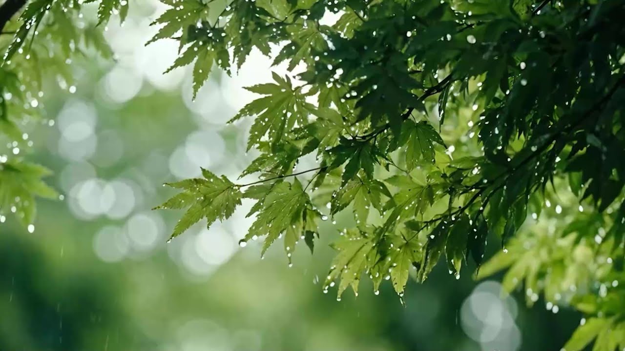 Extreme Relaxation | Relaxing Piano Music & Soft Rain Sounds For Sleep ...