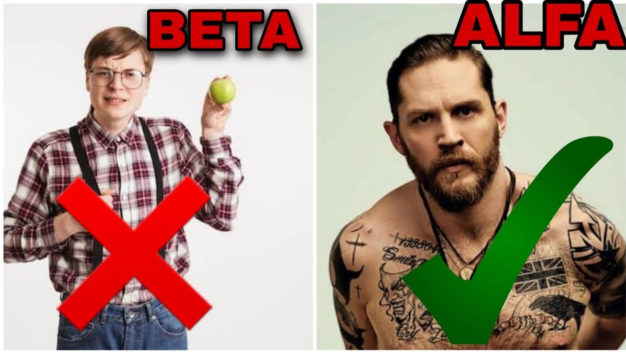La diferencia entre un HOMBRE ALFA 😈y un HOMBRE BETA😇 - YouTube