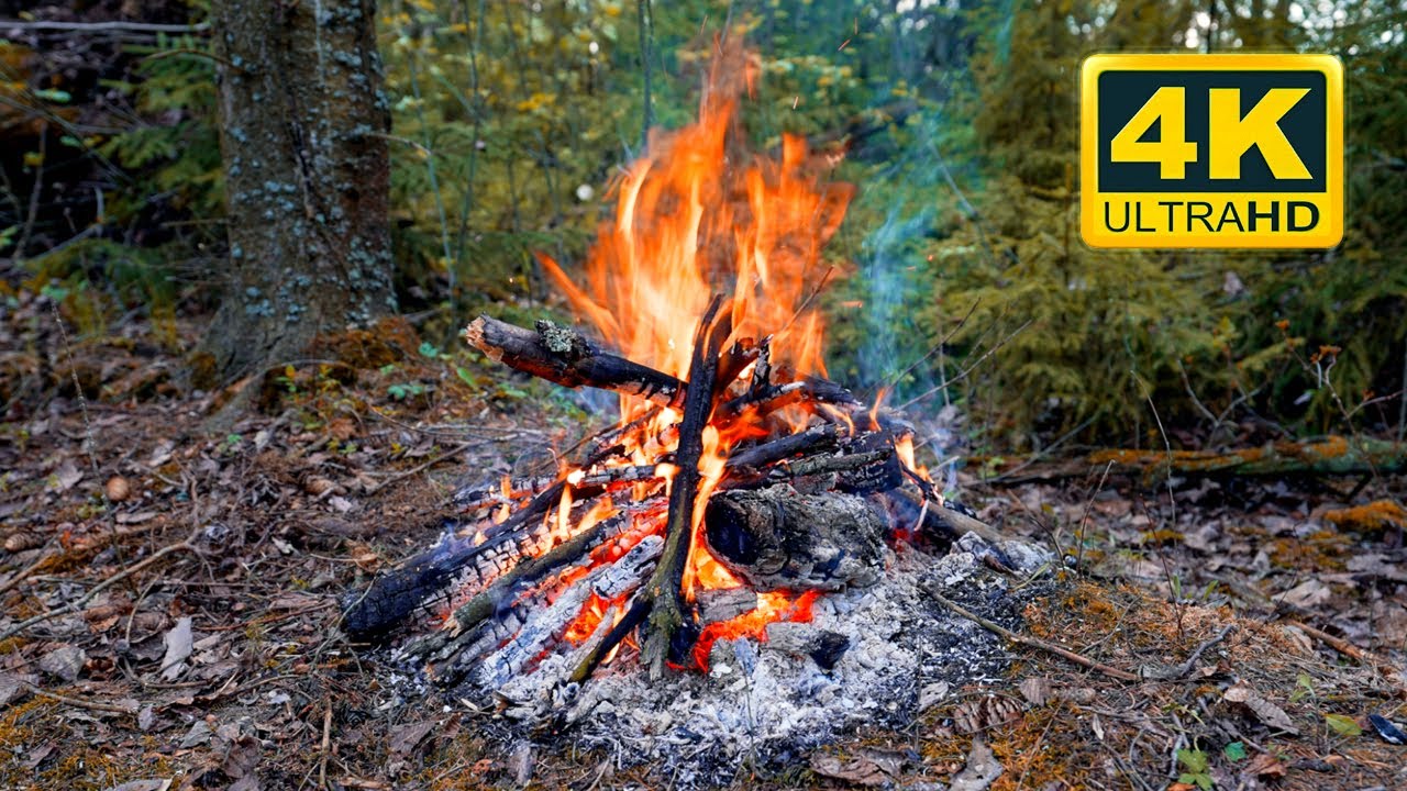 🔥 CAMPFIRE 4K ULTRA HD. Beautiful Autumn Forest and Burning Campfire ...