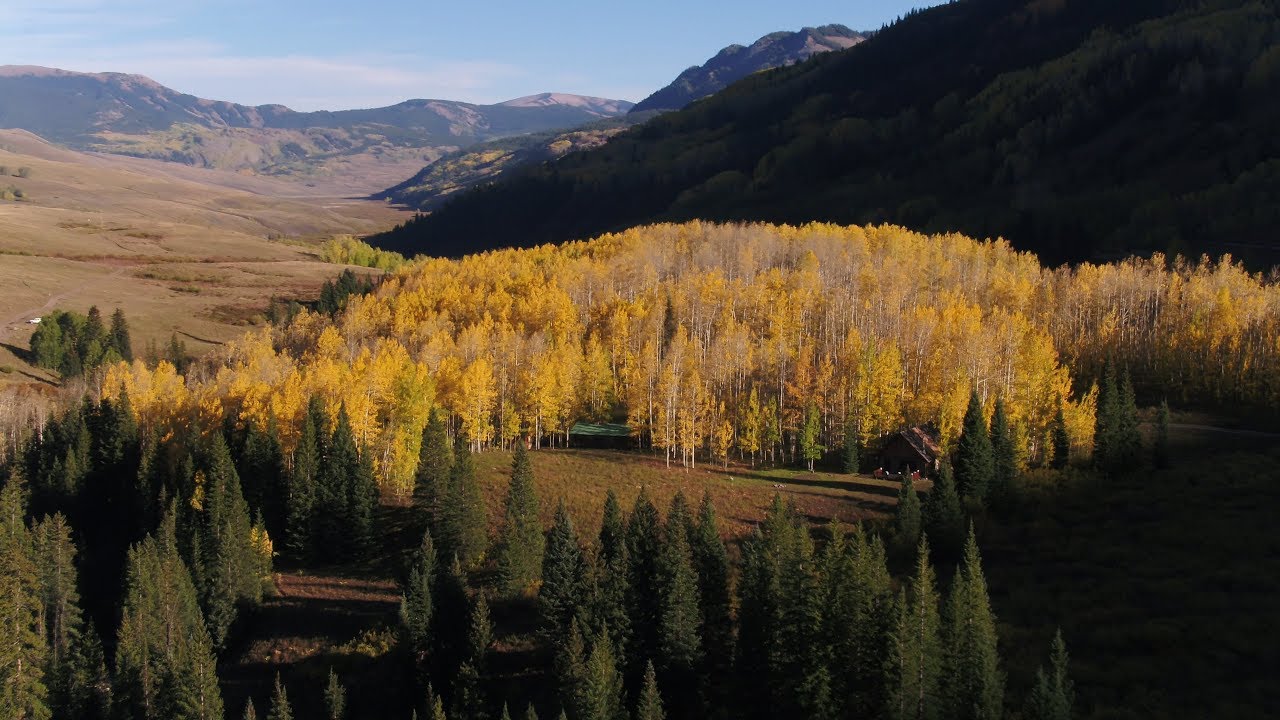 Fruity Pebbles and a Sea of Gold - Autumn Travel Film - YouTube