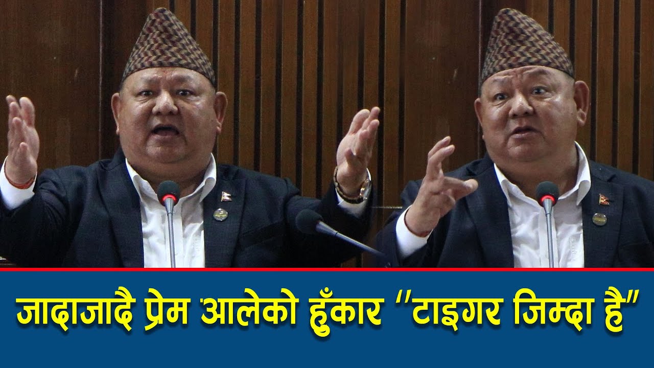 प्रेम आलेको हुँकार 'टाइगर जिम्दा है', कसैको डर धाक धम्कीको प्रलोभनमा ...