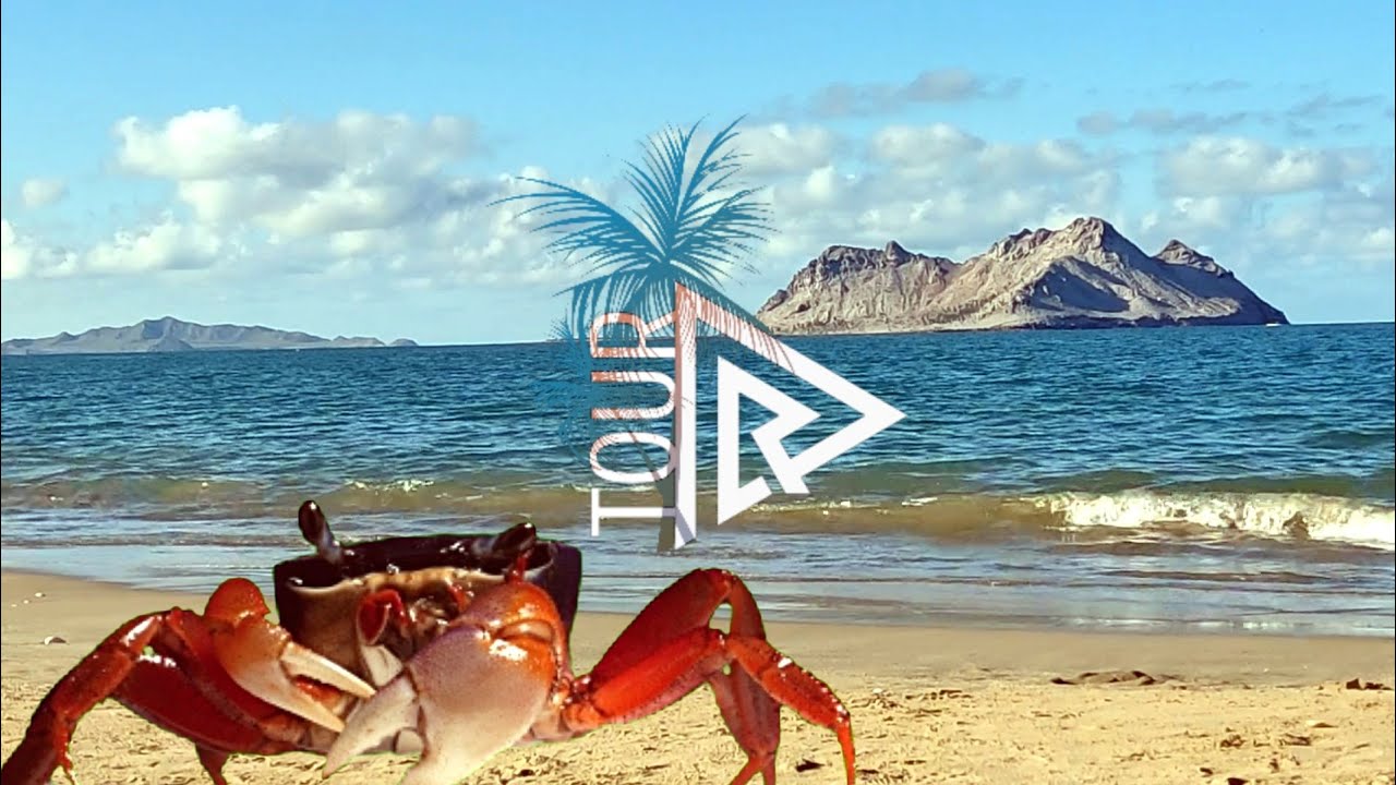 One crab_01_Green Screen_RidTour - YouTube