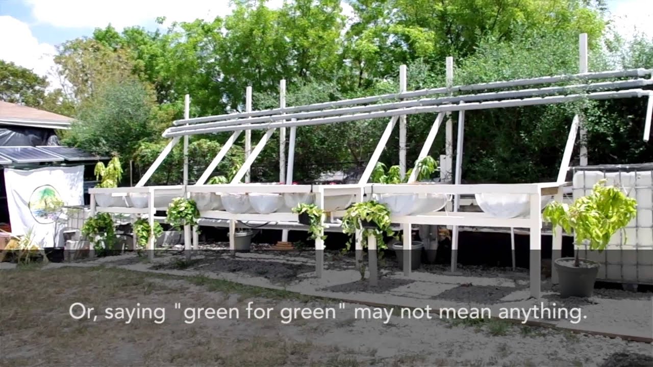 EcoTech Visions: a movement of eco-preneurs changing the world - YouTube