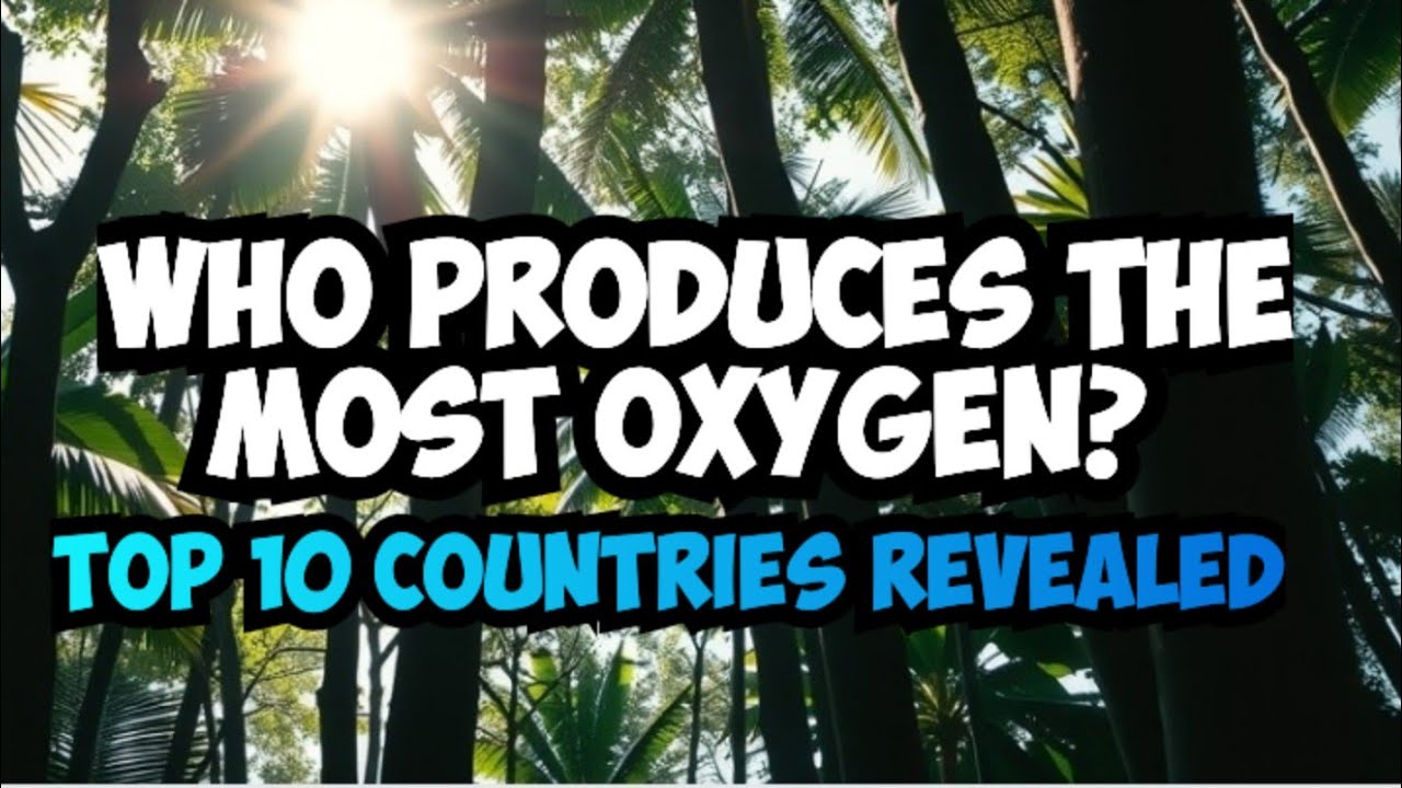 Top 10 Countries That Produce the Most Oxygen on Earth - YouTube