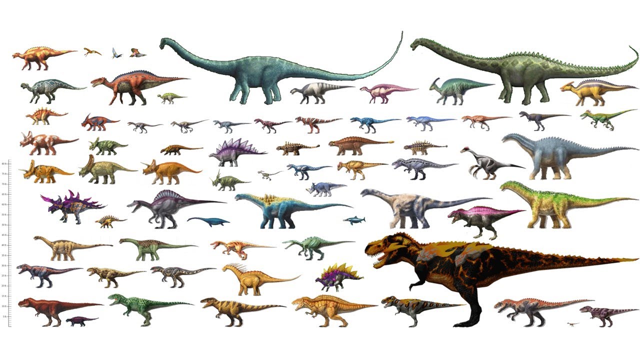 dinosaur king dinosaur size comparison - YouTube