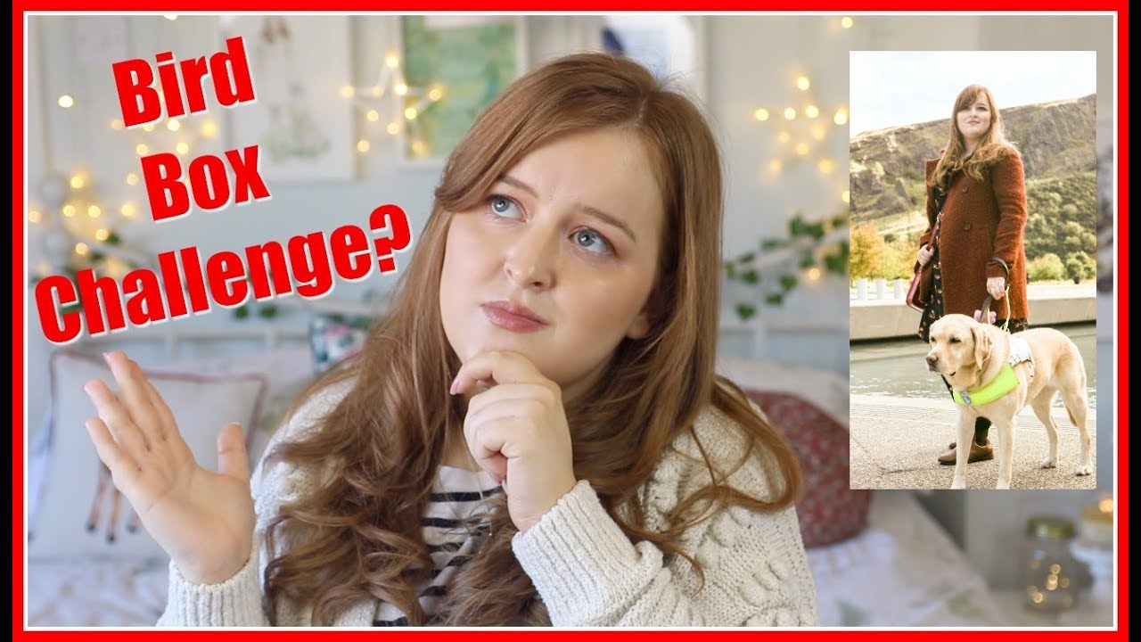 A Legally Blind Person's Thoughts on the Bird Box Challenge ...