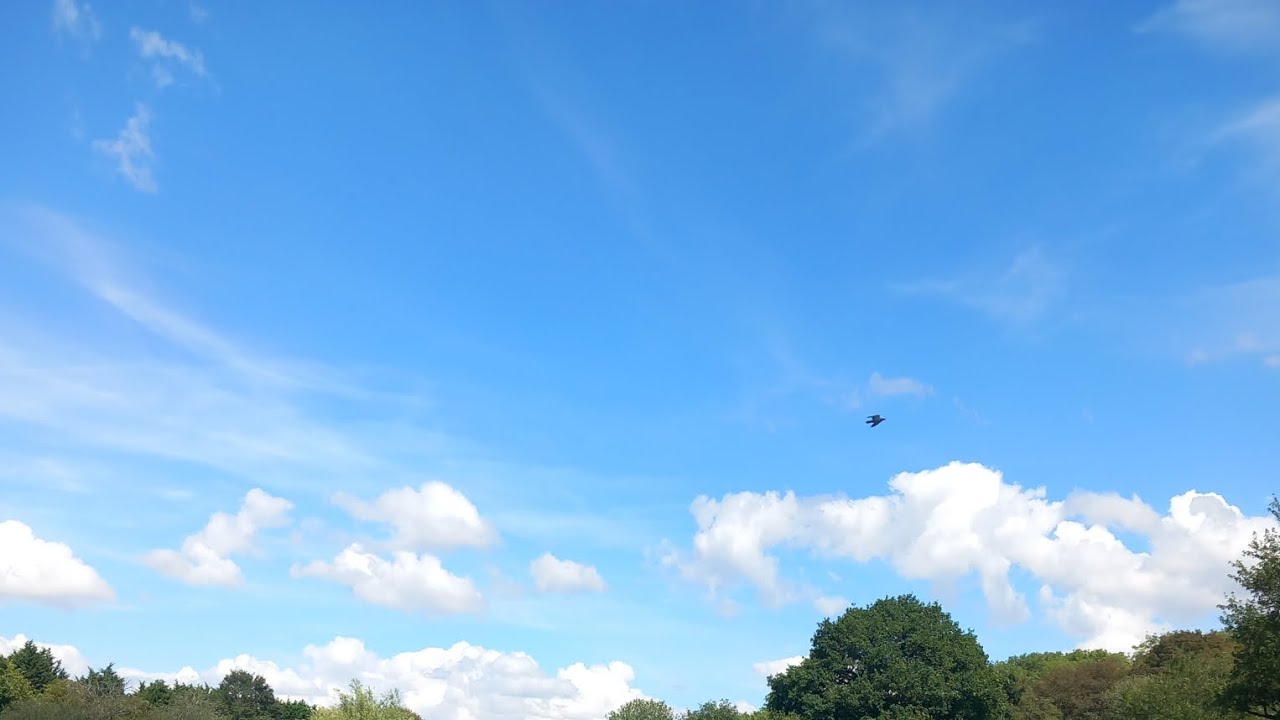 I can see clearly now the rain is gone. - YouTube