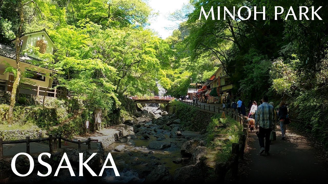 A walk inside the japanese park. Osaka. Minoh waterfall. The spring ...
