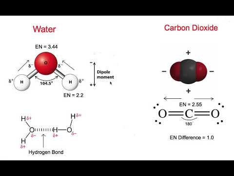 How Carbon Dioxide gas is dissolved in Water? - YouTube