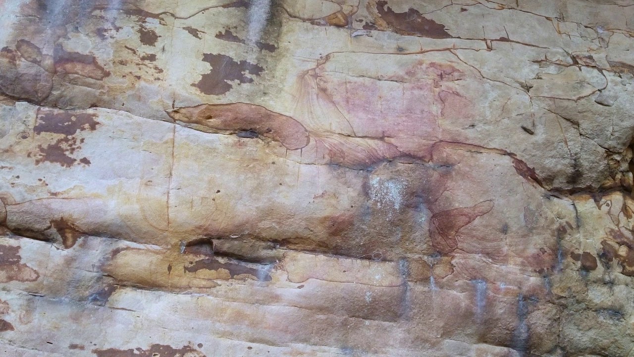 Prentice Cooper State Forest & Reserve - YouTube