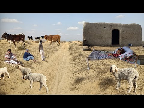 Desert Life in Pakistan | Cholistan Desert | Mud House | Extreme desert ...