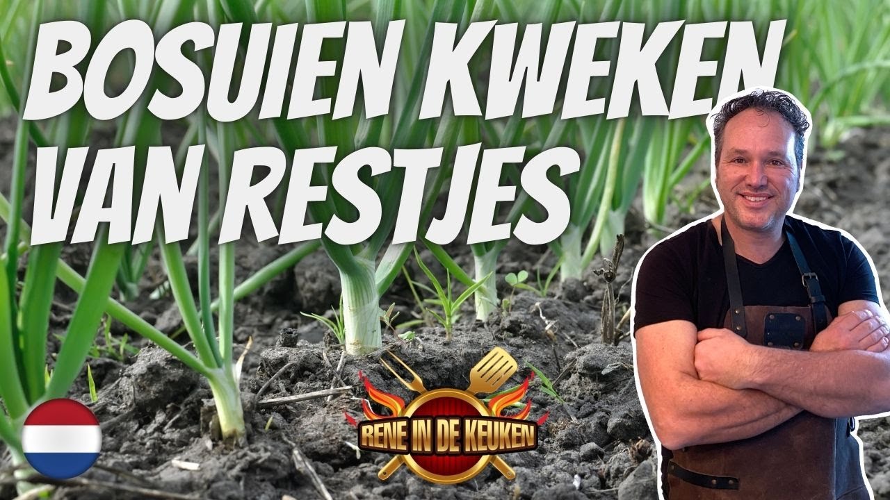 Nieuwe bosuien kweken van de onderkantjes van bosuien - YouTube