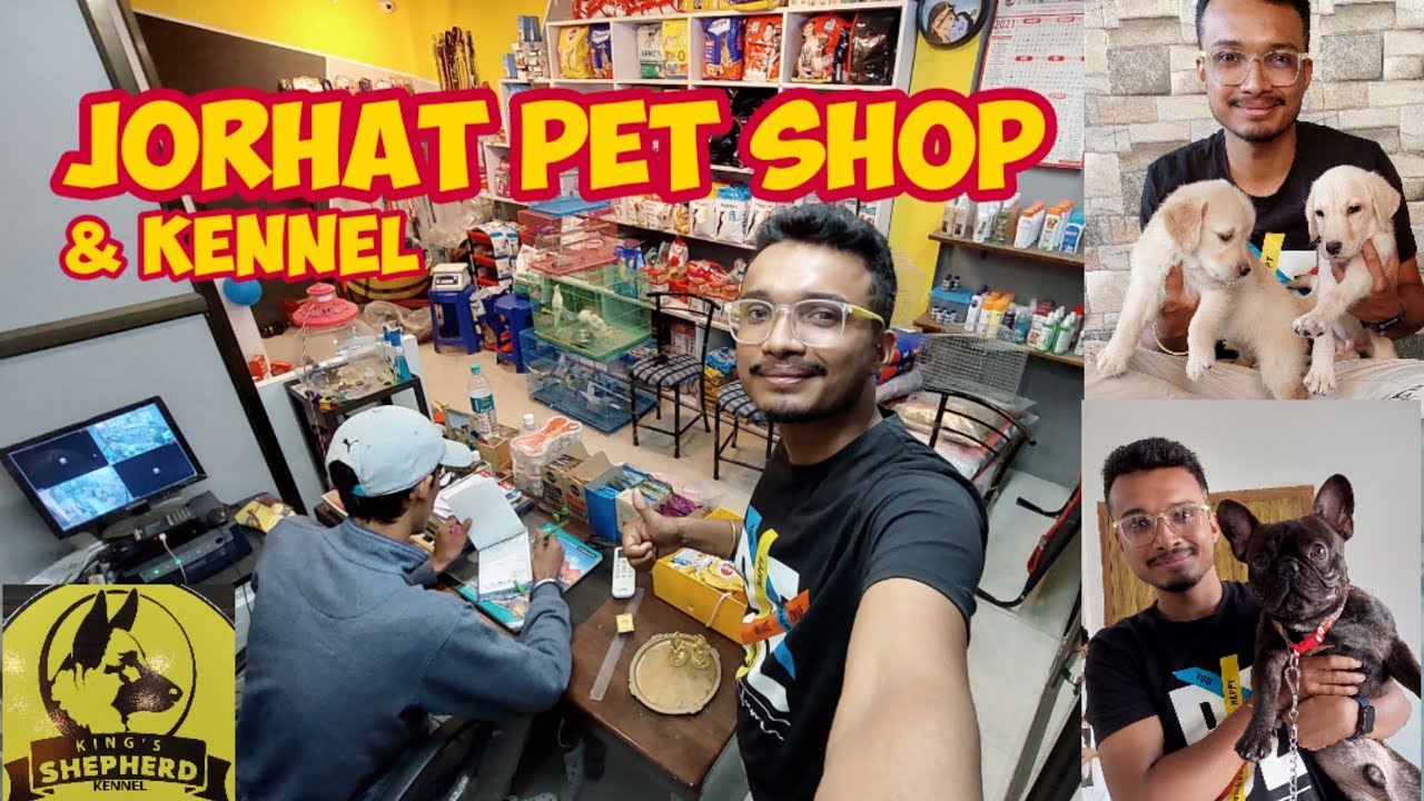 Pet Shop & Kennel visit | Jorhat | KING'S SHEPHERD | Dog , cat , Birds ...