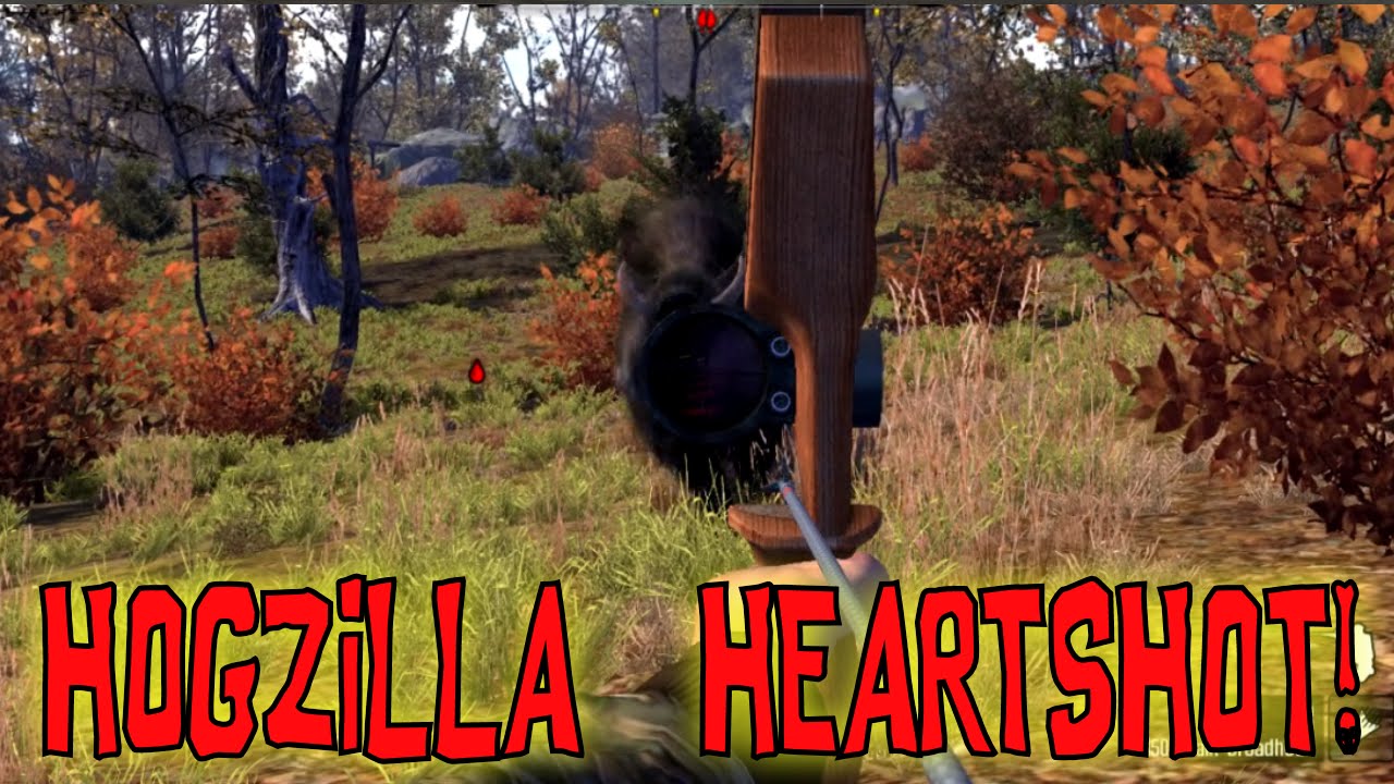 Cabela's BGHPH 2014: Hogzilla Heartshot - YouTube