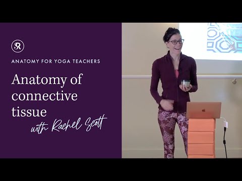 Anatomy of Connective Tissue: Learn Yoga Anatomy